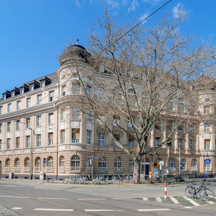 Portfolio - Alma Group